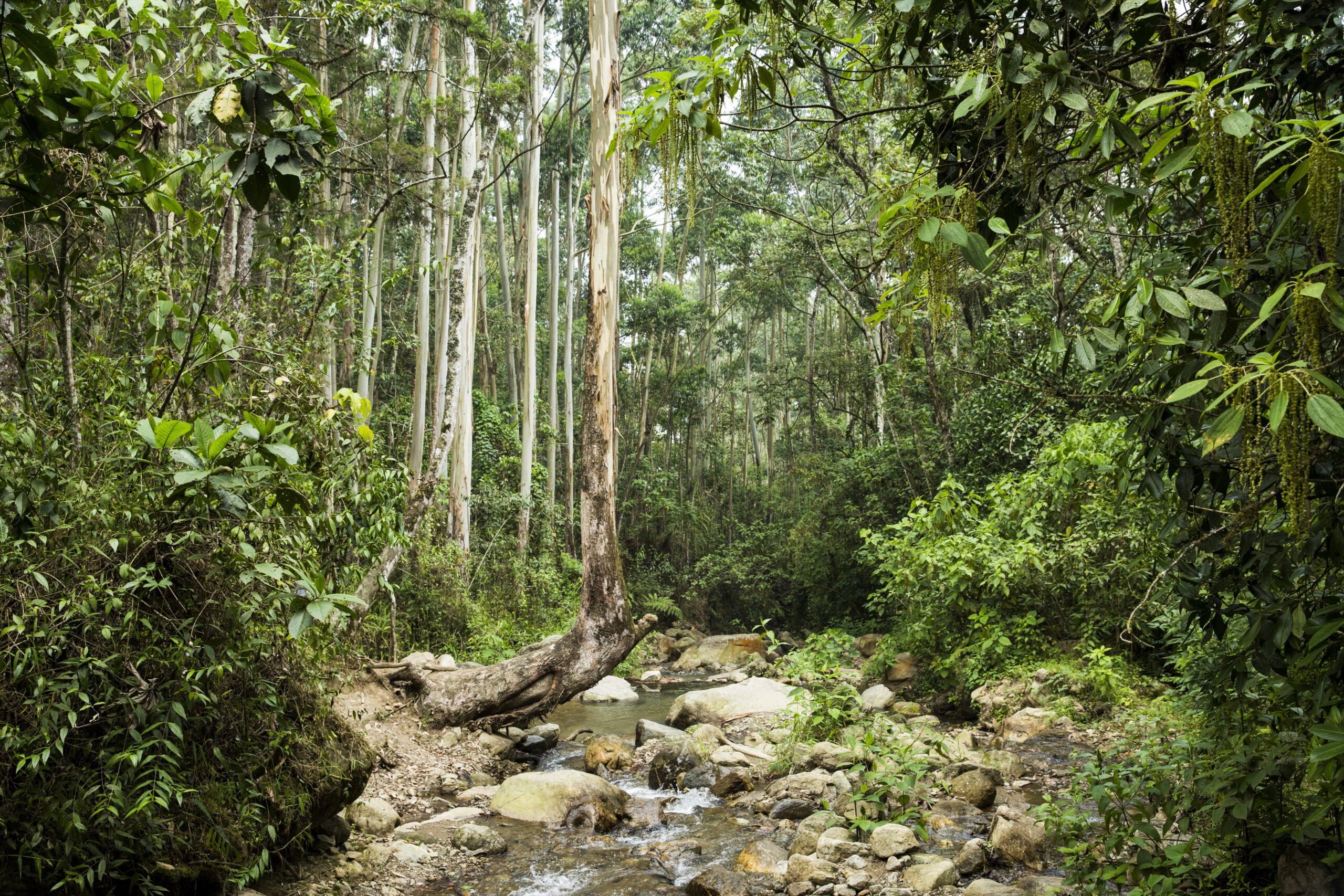 Parque Ecoturístico El Salado - Colprensa