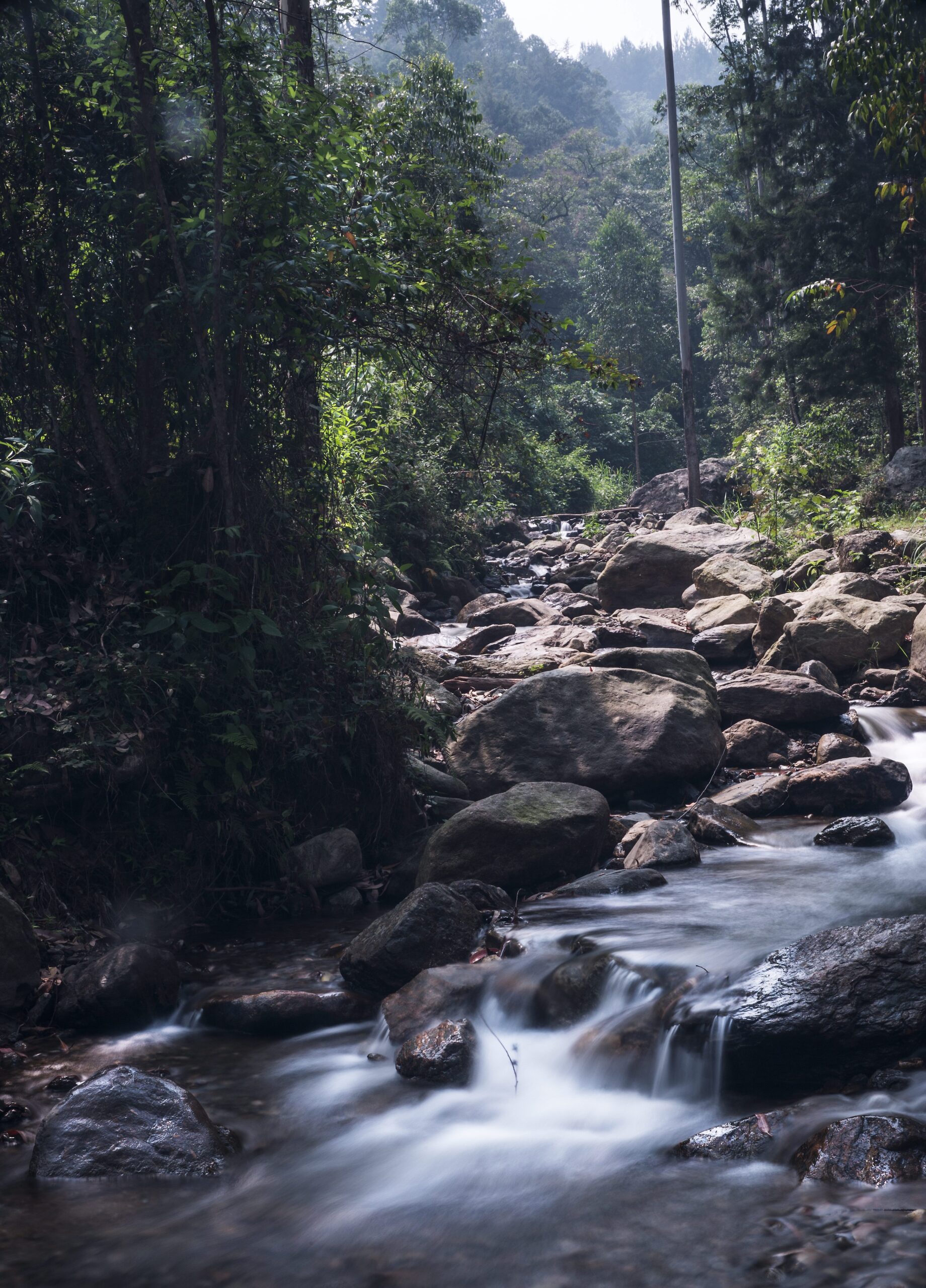 Parque Ecoturístico El Salado - Colprensa