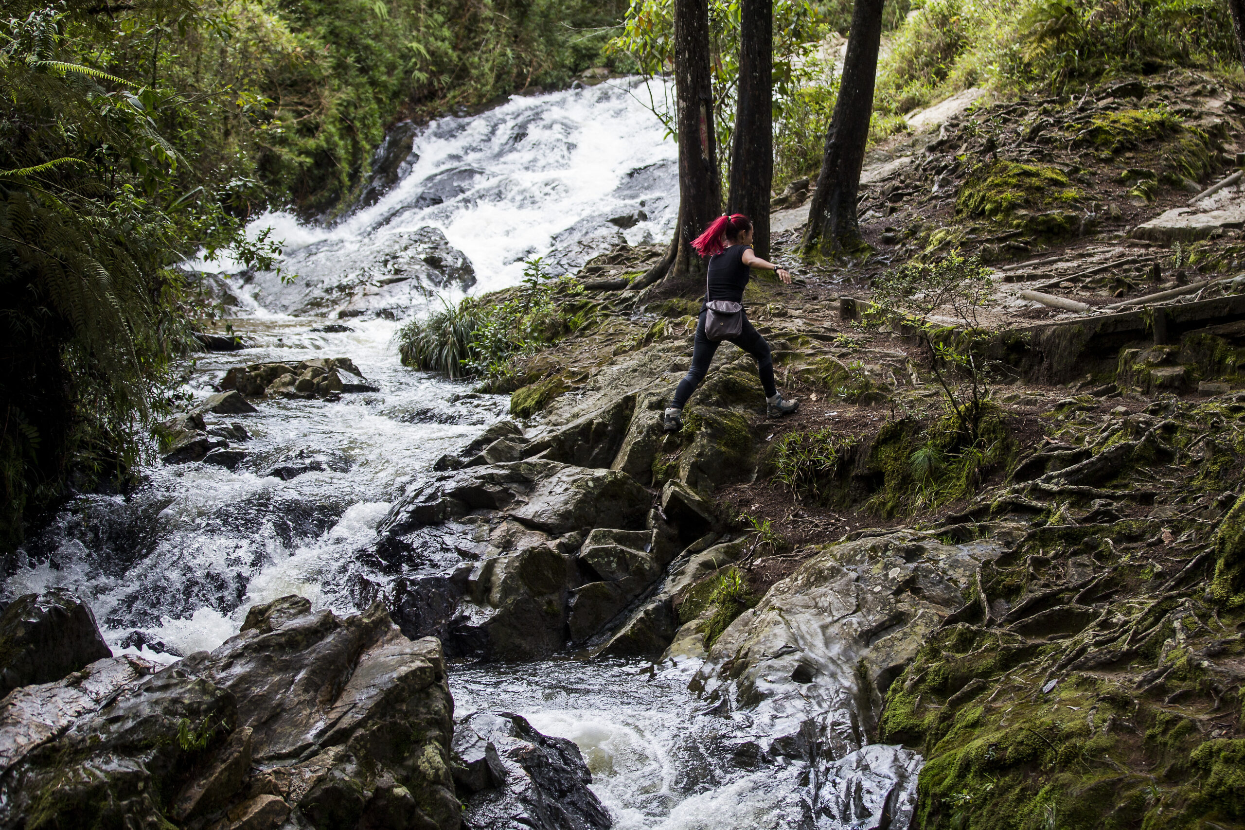 Parque Arví - Colprensa