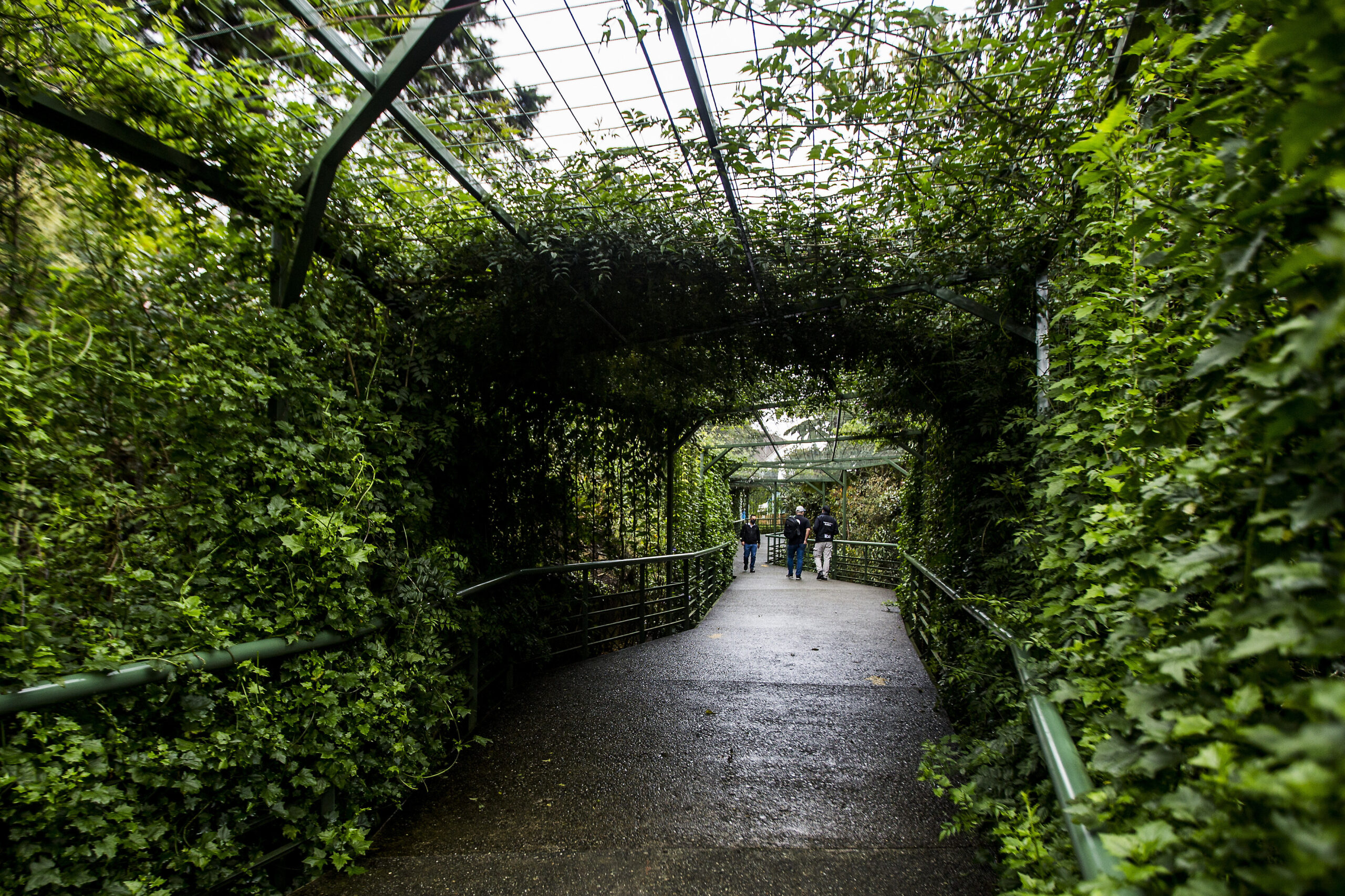 Parque Arví - Colprensa