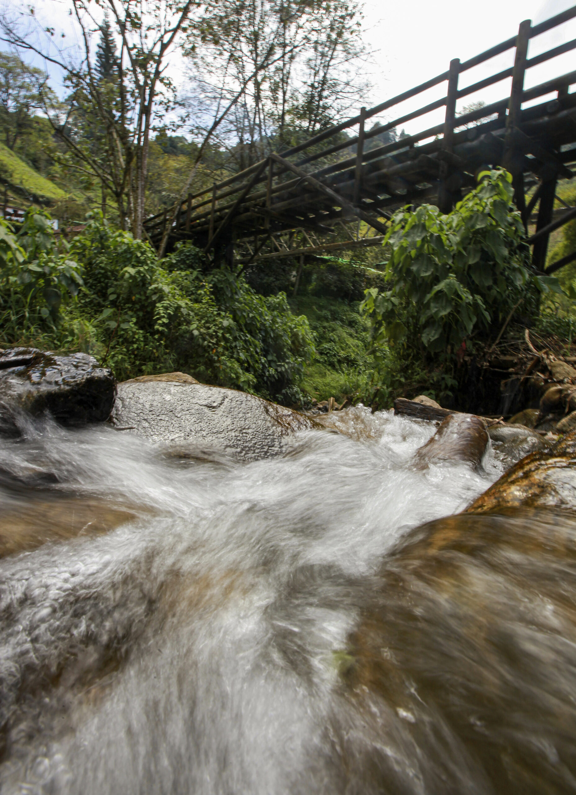 Parque Ecoturístico El Salado - Colprensa