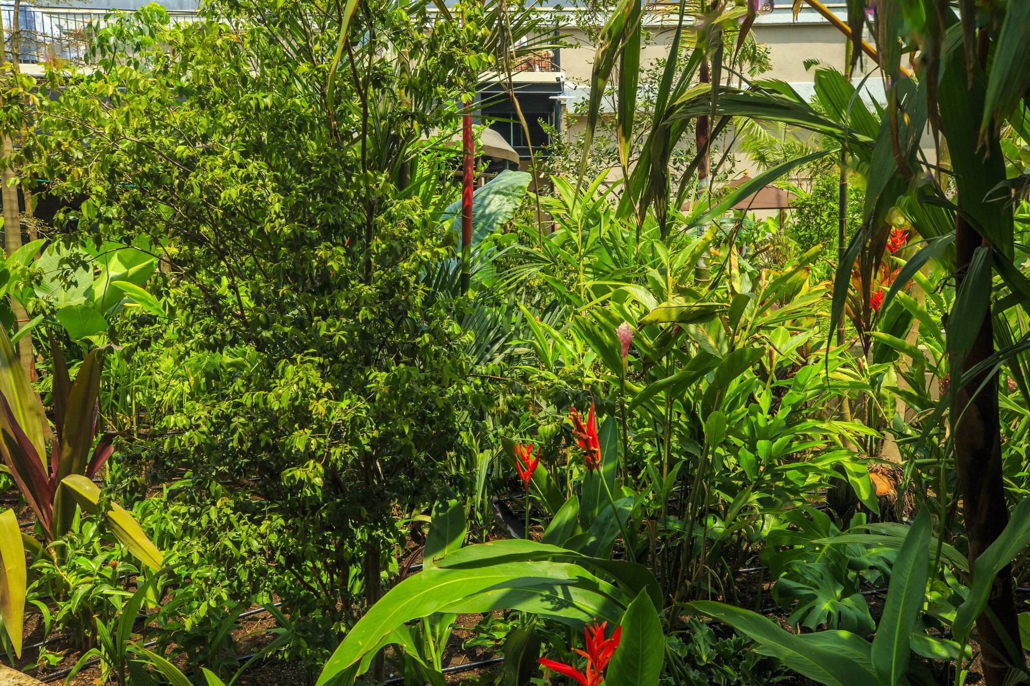 Jardín Nómada - Colprensa